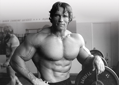 Les mensurations idéales d’un bodybuilder - Musculation.tn